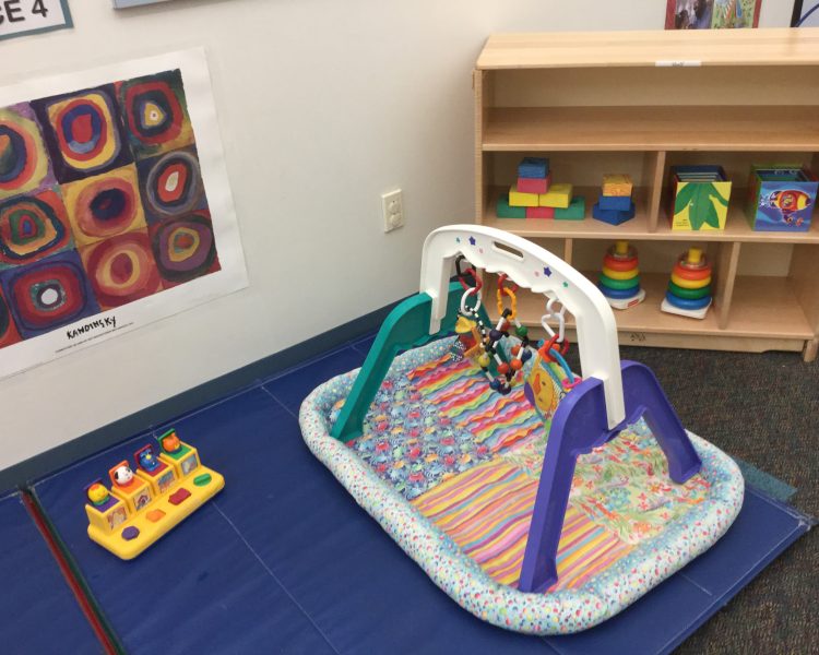 Infant Environment Child Development Labs